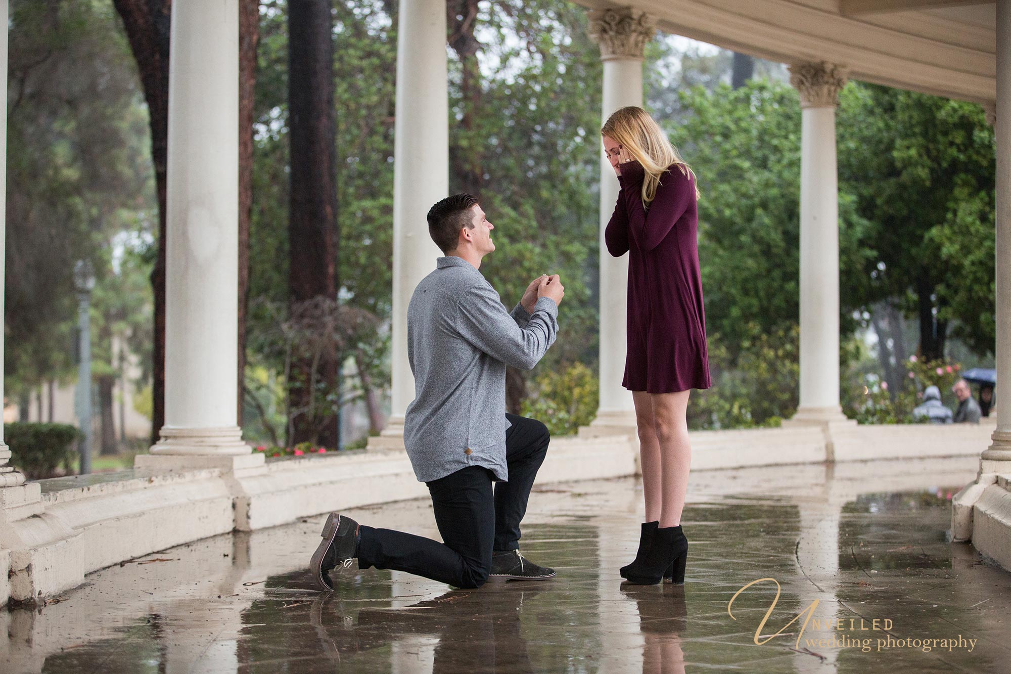 Balboa Park | San Diego | Shayne and Kevin's Proposal Photography ...