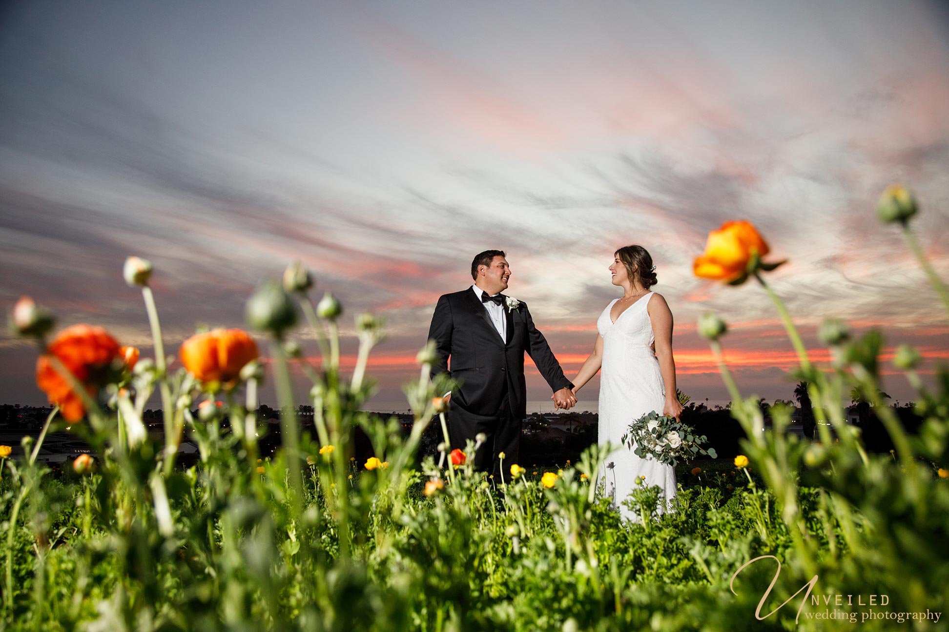 Carlsbad Flower Fields | San Diego | Caitlin and Kyle's Wedding ...